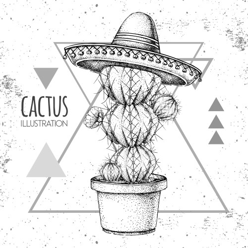 Chullo hat Royalty Free Vector Image - VectorStock