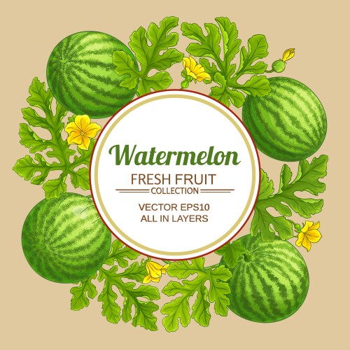 Watermelon Vector Images (over 74,000)