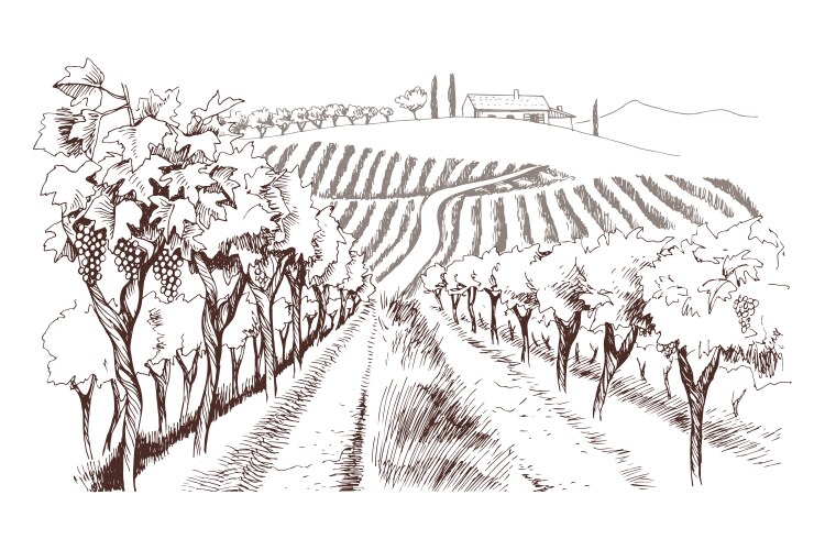 A path to farm landscape hand drawing Royalty Free Vector