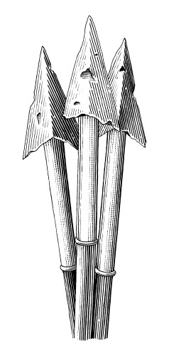 Vintage arrow in engraving style Royalty Free Vector Image