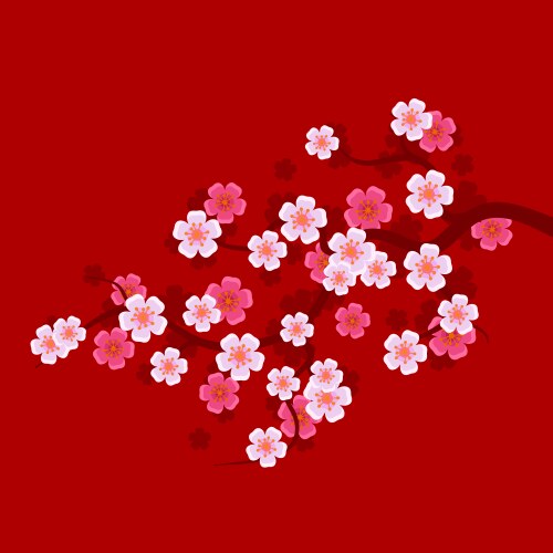 Japanese classic sakura floral in red white Vector Image