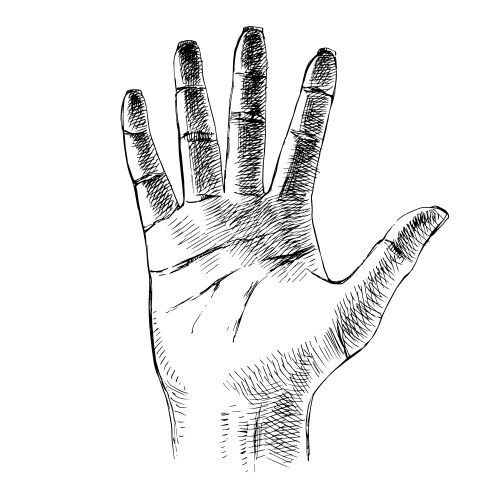 Hand Palm Vector Images (over 120,000)