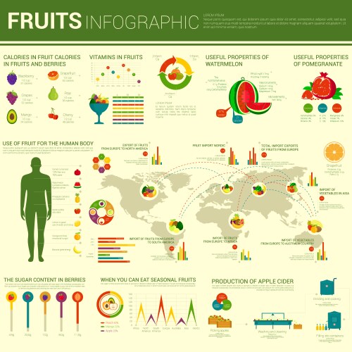 Fruits and berries infographic with charts map Vector Image