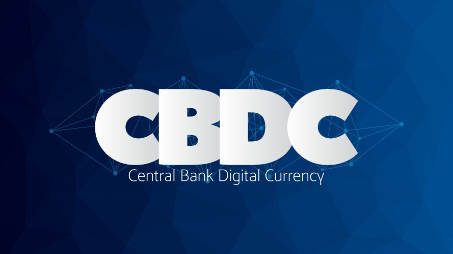 Cbdc money central bank digital currency Vector Image
