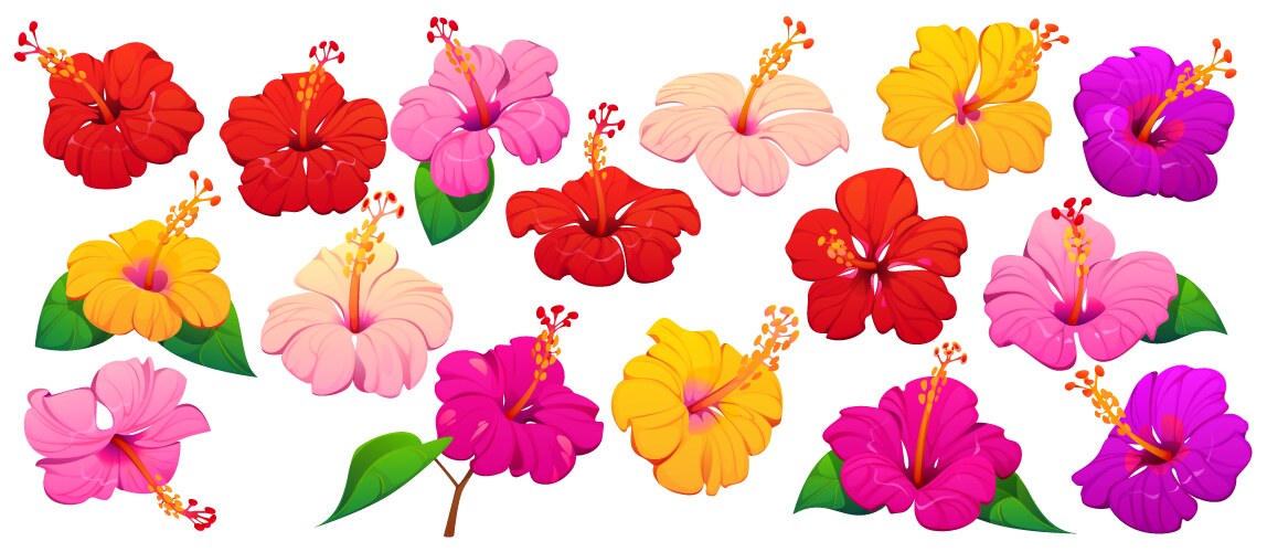 Summer Flowers Clipart