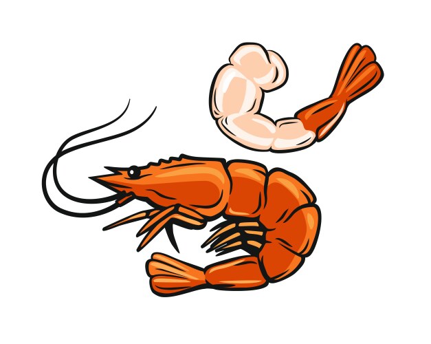 Shrimp Cartoon Vector Images (over 9,800)