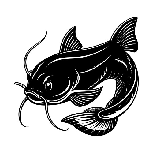 Premium catfish silhouette art on white bac Vector Image