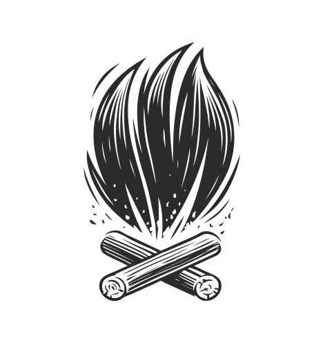 Camp Fire Vector Images (over 44,000)