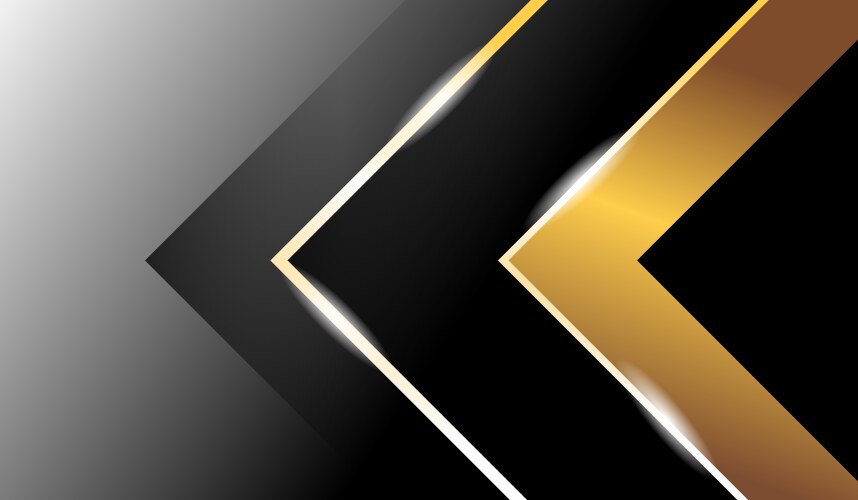 Luxury silver background design gold modern Vector Image