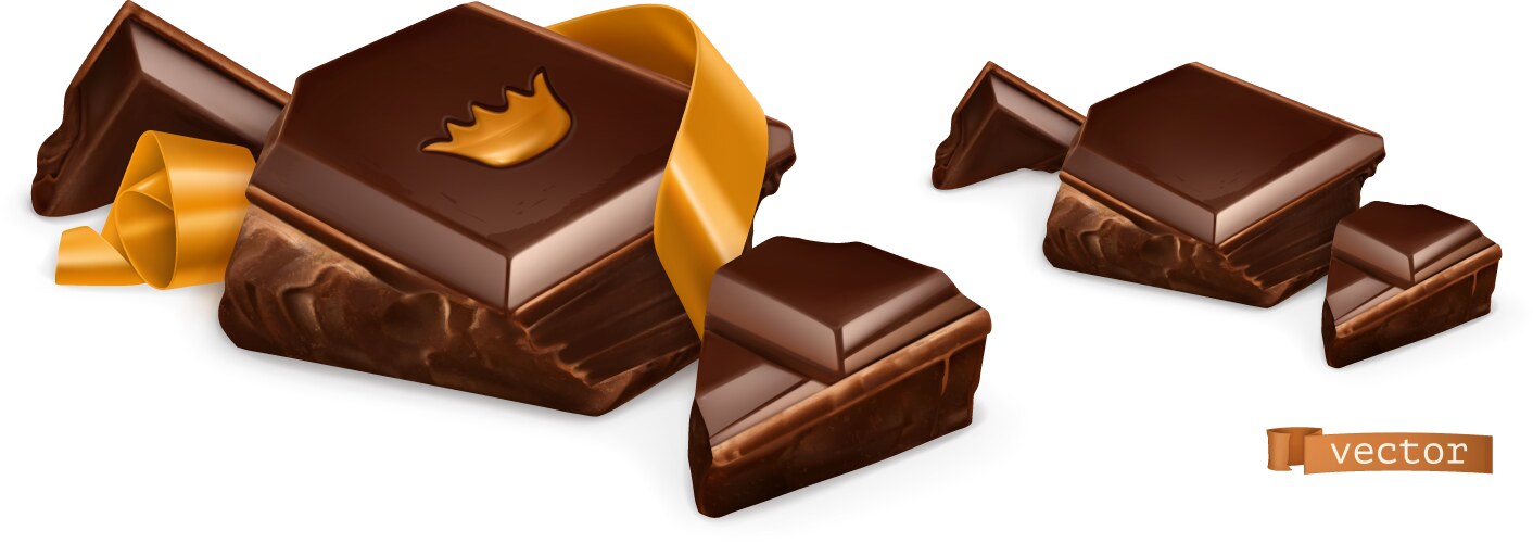 Chocolate pieces Royalty Free Vector Image - VectorStock