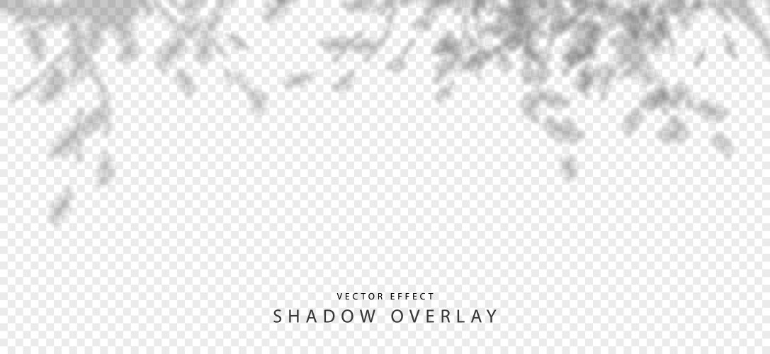 Shadow Overlay Vector Images (over 13,000)