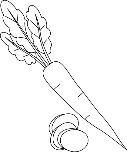 Chayote isolated coloring page hand drawn for kids