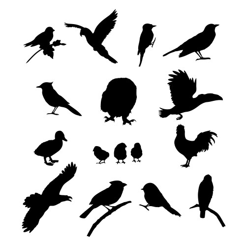 Set of detailed hand drawn game birds Royalty Free Vector