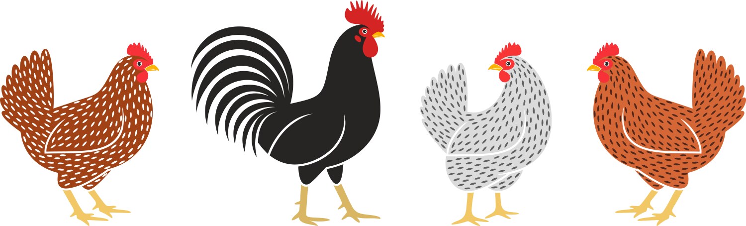 Hen Vector Images (over 45,000)