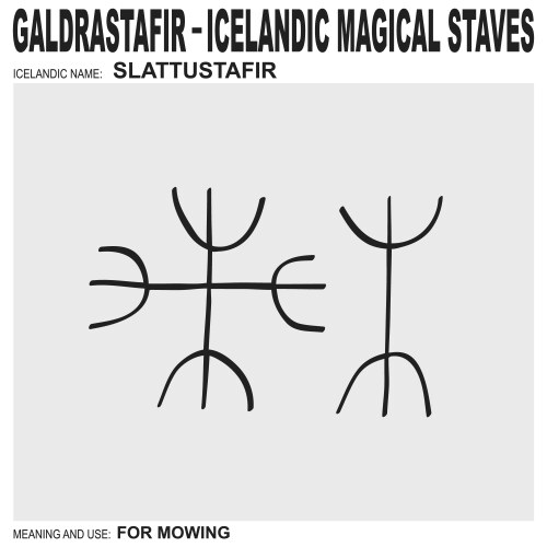 Ancient icelandic magical staves hraethigaldur Vector Image