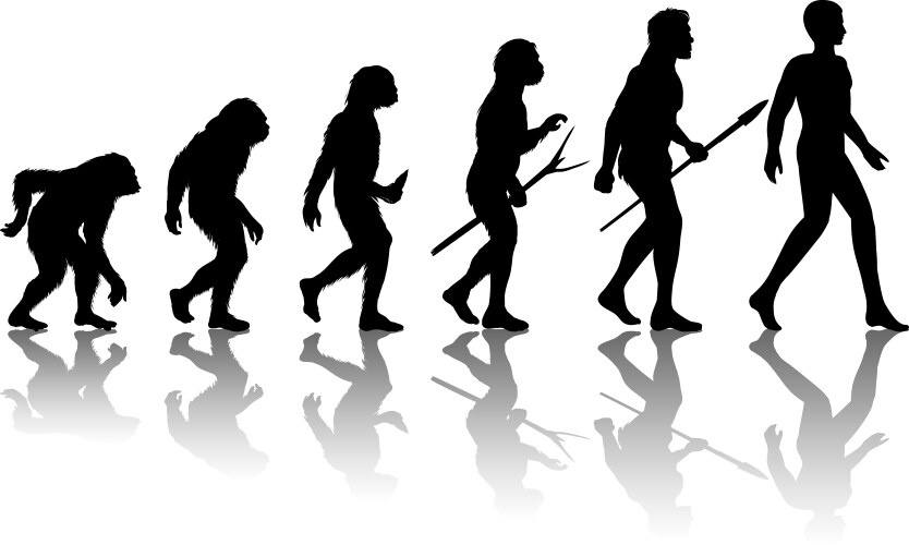 Evolution Vector Images (over 59,000)