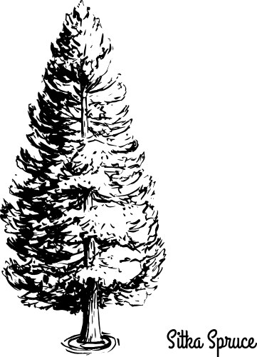Alpine landscape sketch mountain cabin pine tree Vector Image