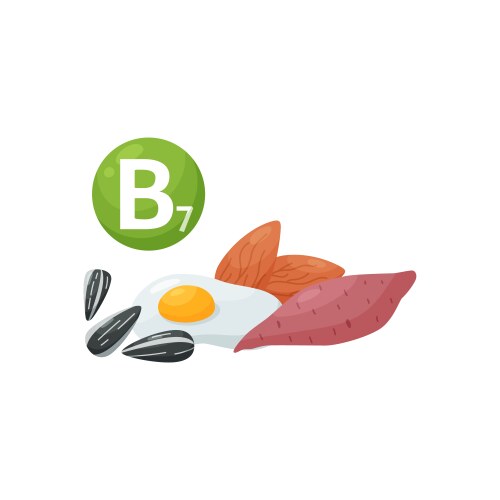 Vitamin B7 Vector Images (over 220)