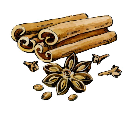 Cinnamon Vector Images (over 21,000)