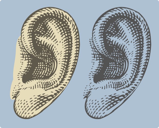 Ear Vector Images (over 200,000)