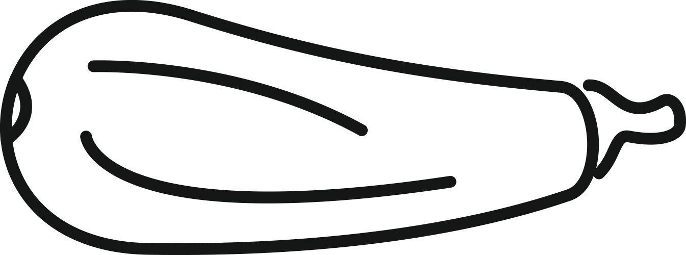 Whole zucchini squash line art drawing depicting Vector Image