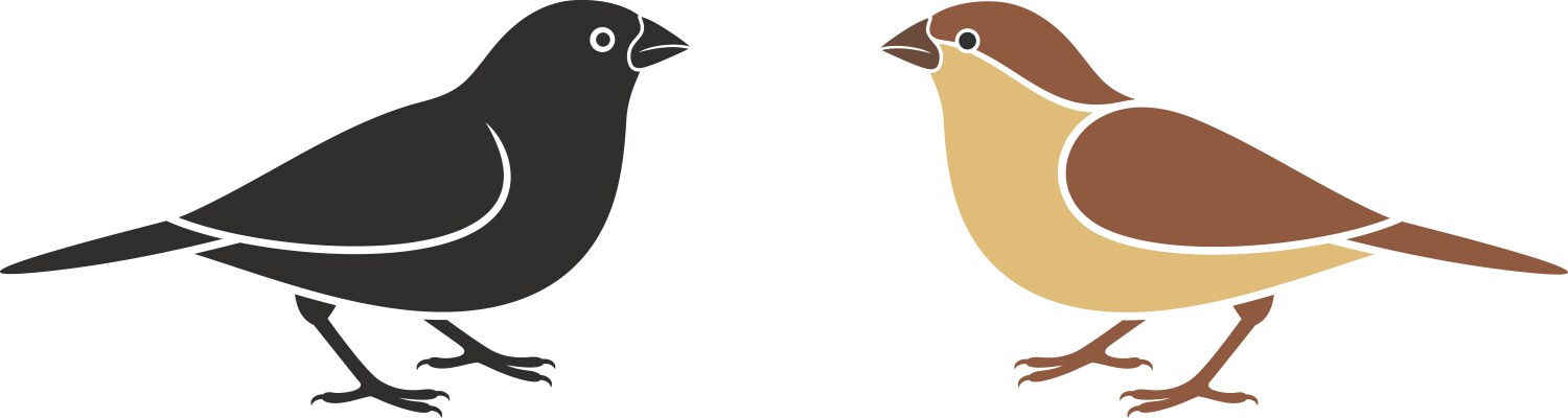 Sparrow Vector Images (over 13,000)