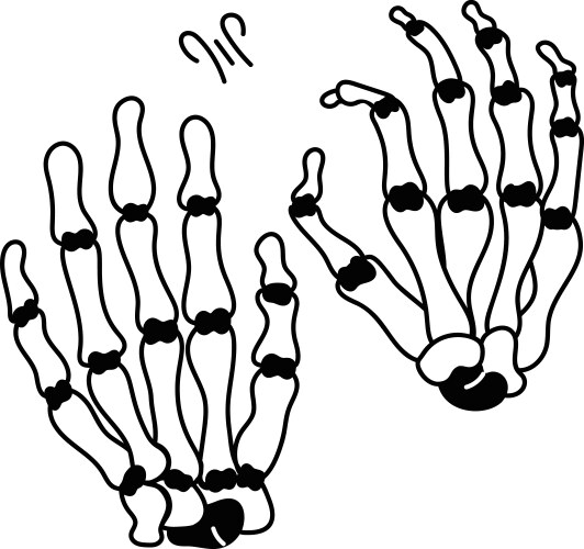 Anatomical hand Royalty Free Vector Image - VectorStock