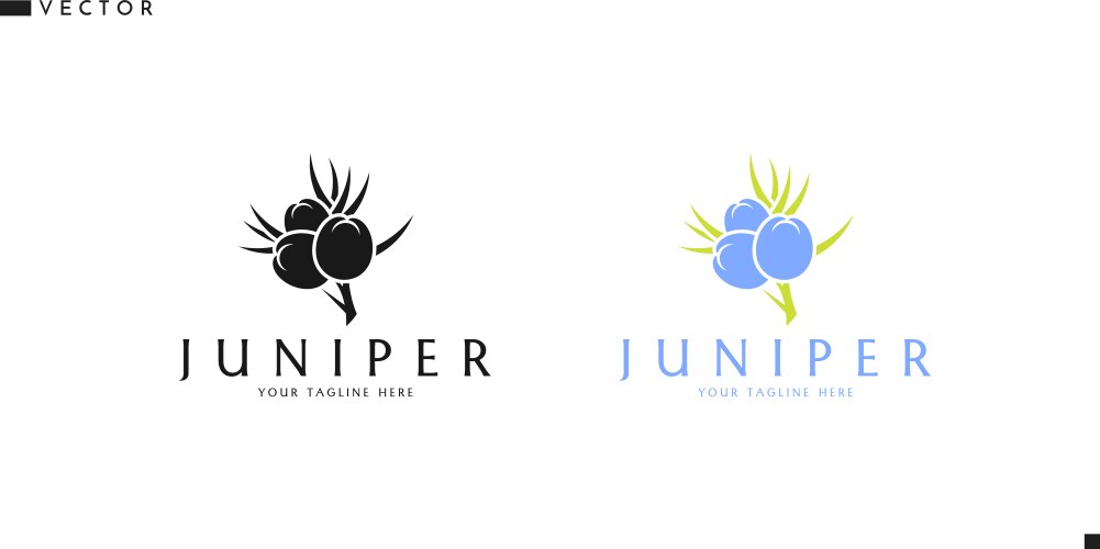 Juniper Vector Images (over 2,400)