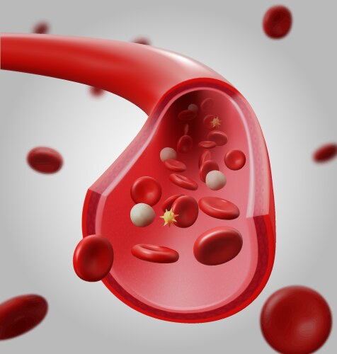 Red cells in bloodstream 3d realistic Royalty Free Vector