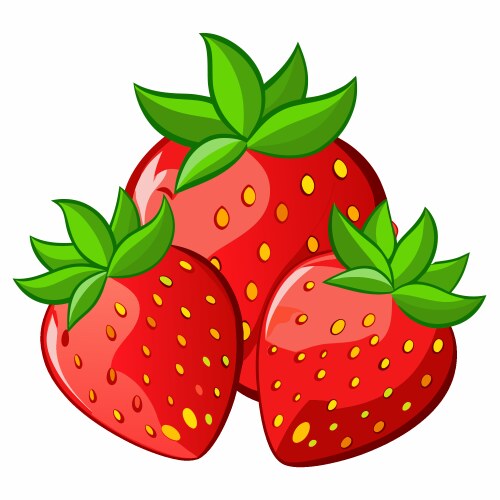 Strawberry fruits Royalty Free Vector Image - VectorStock