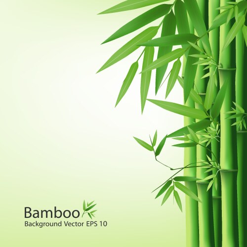 Bamboo Vector Images (over 45,000)
