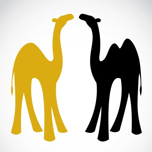 Camel Vector Images (over 21,000)