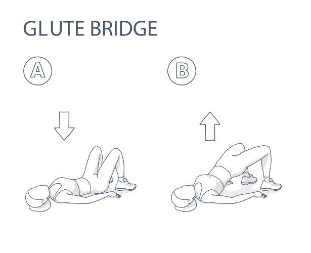 Glute Bridge Vector Images (over 120)