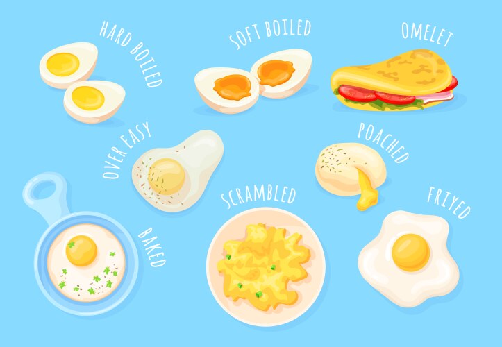 Boiled Cartoon Egg Vector Images (over 3,600)