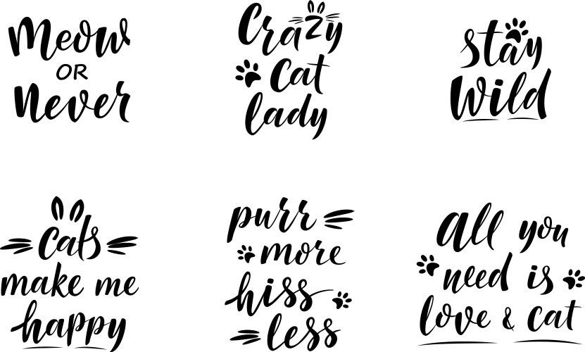 All you need is cat handwritten sign modern brush Vector Image