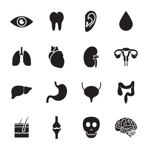 Human organs icons set Royalty Free Vector Image
