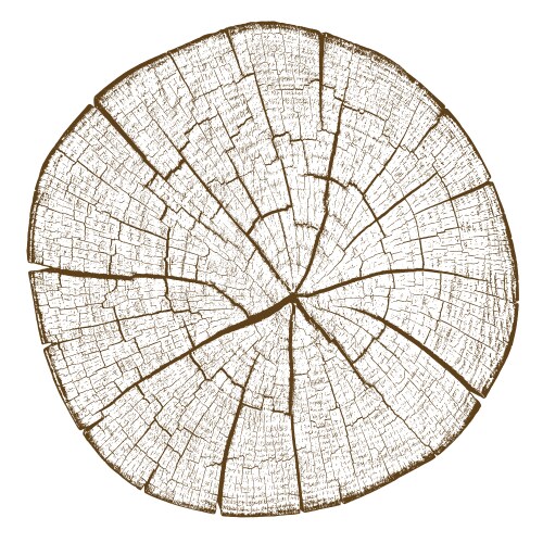 Tree log wood growth rings grunge texture Vector Image