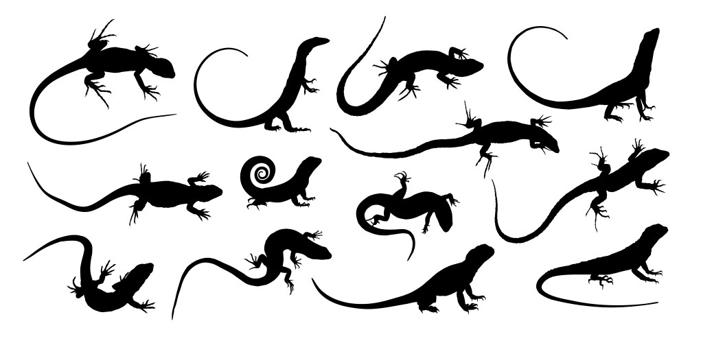 Lizards Vector Images (over 35,000)
