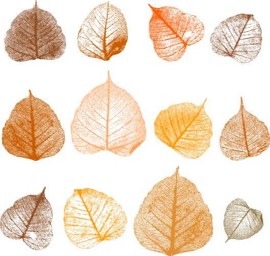 Venator Vector Images (over 230)