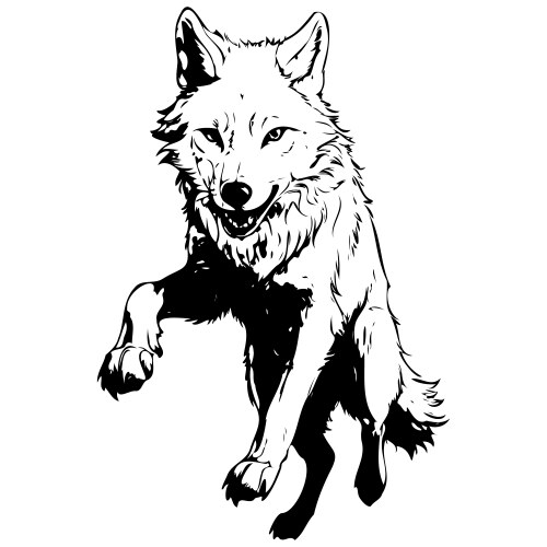 Monochrome arctic wolf jumps drawing outline Vector Image