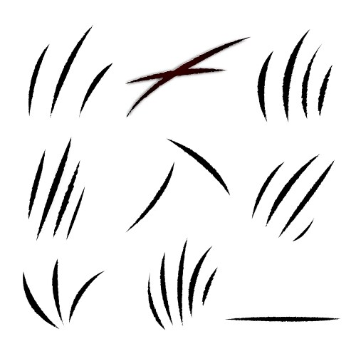 Lion Scratch Vector Images (over 970)