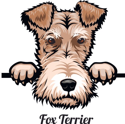 Fox Hound Vector Images (over 420)