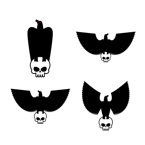 Hawk Skeleton Vector Images (over 140)