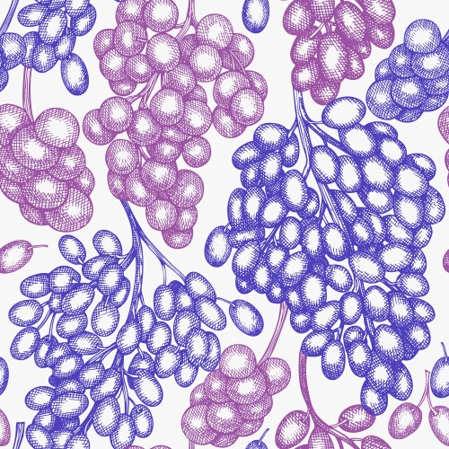 Grape design template hand drawn berry Royalty Free Vector