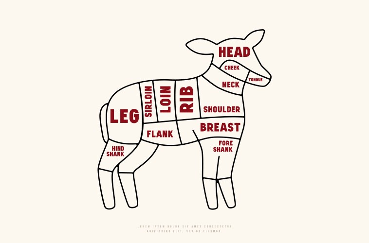 Lamb Outline Vector Images (over 5,200)