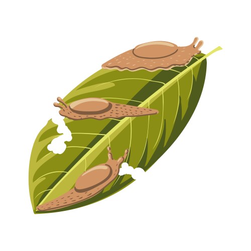 Slime Background Animation Vector Images (over 790)