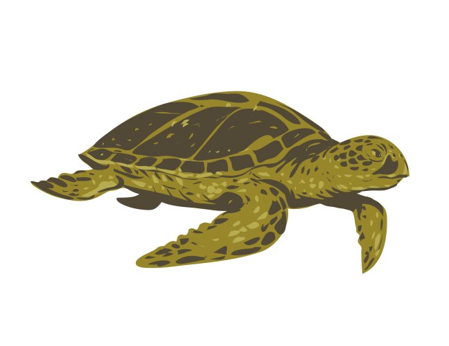 Sea turtle color Royalty Free Vector Image - VectorStock