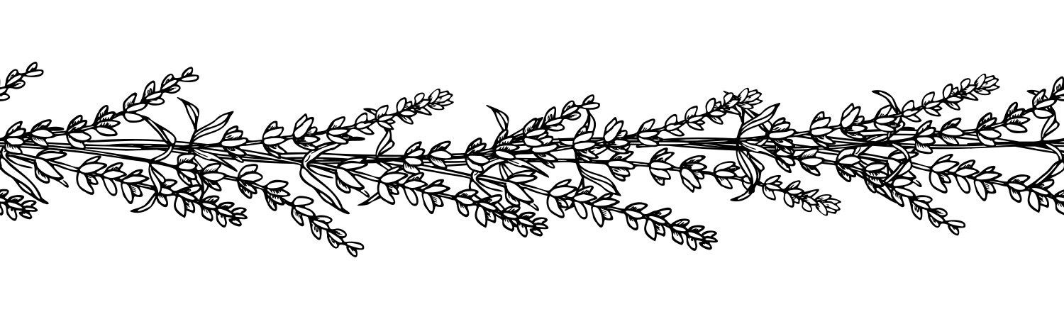 Spa Border Vector Images (over 6,400)