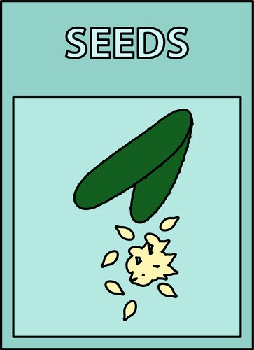 Seed Packet Icon Vector Images (over 3,400)
