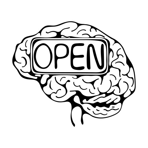 Human Brain Anatomy Royalty Free Vector Image - VectorStock